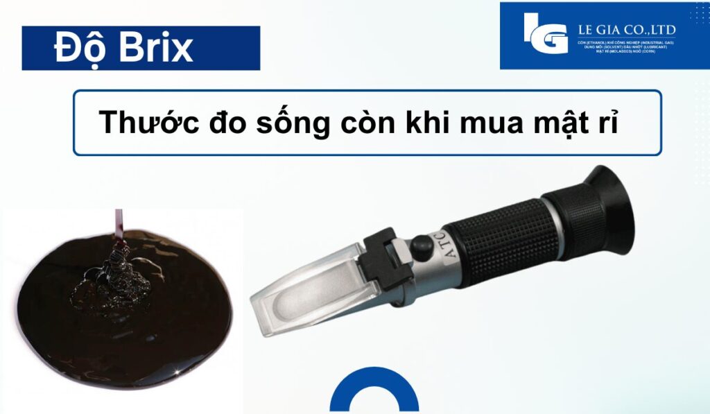 Mật rỉ đường là gì